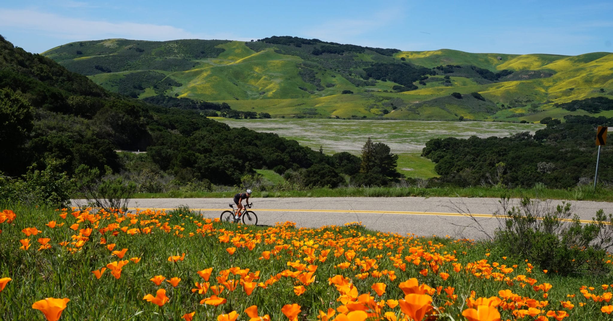 Cycling Trip in California. Ride to the Pacific ocean with The Cycling ...